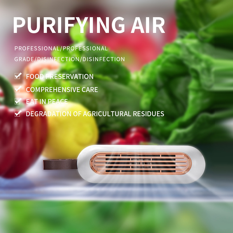 Jual Ozone Refrigerator Deodorizer Sterilizer Air Freshener Odor ...