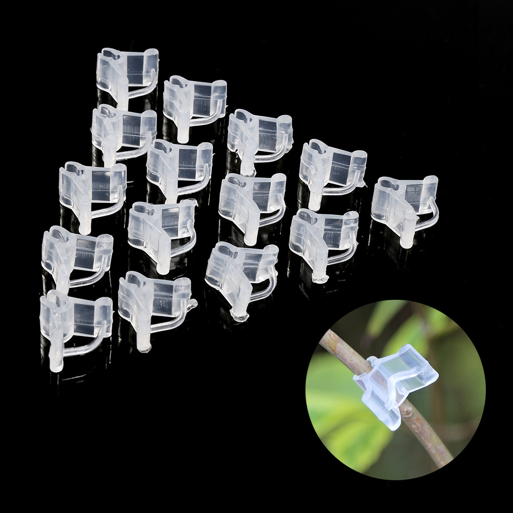 Jual PROMO Seedling Grafting Clip Plastic Connects Grafting Fixed Clamp ...