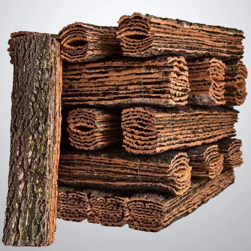 Jual Aquarium Driftwood Reptile Terrarium Habitat Oak Tree Cork Bark ...