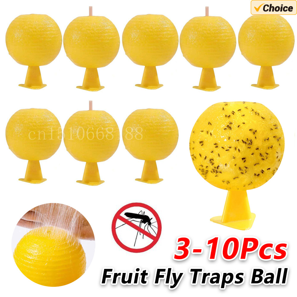 Jual 3-10Pcs Fruit Fly Traps Ball Sticky Fruit Fly Catcher Glue Indoor ...