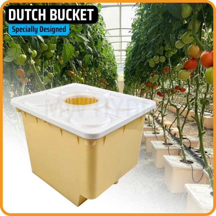 Jual Dutch Bucket / Bato Bucket Hidroponik Original | Shopee Indonesia