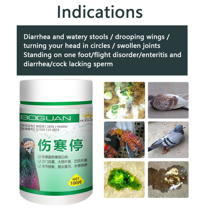 Jual Pigeon typhoid fever stop Salmonella water green stool joint ...