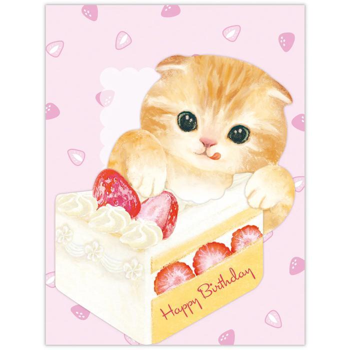 Jual Mini Greeting Card -Hallmark -Scottish Fold- Gourmet Cat- Birthday ...